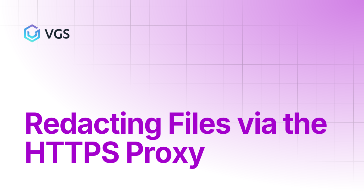 Redacting Files via the HTTPS Proxy | Secure Data Vault | VGS Docs