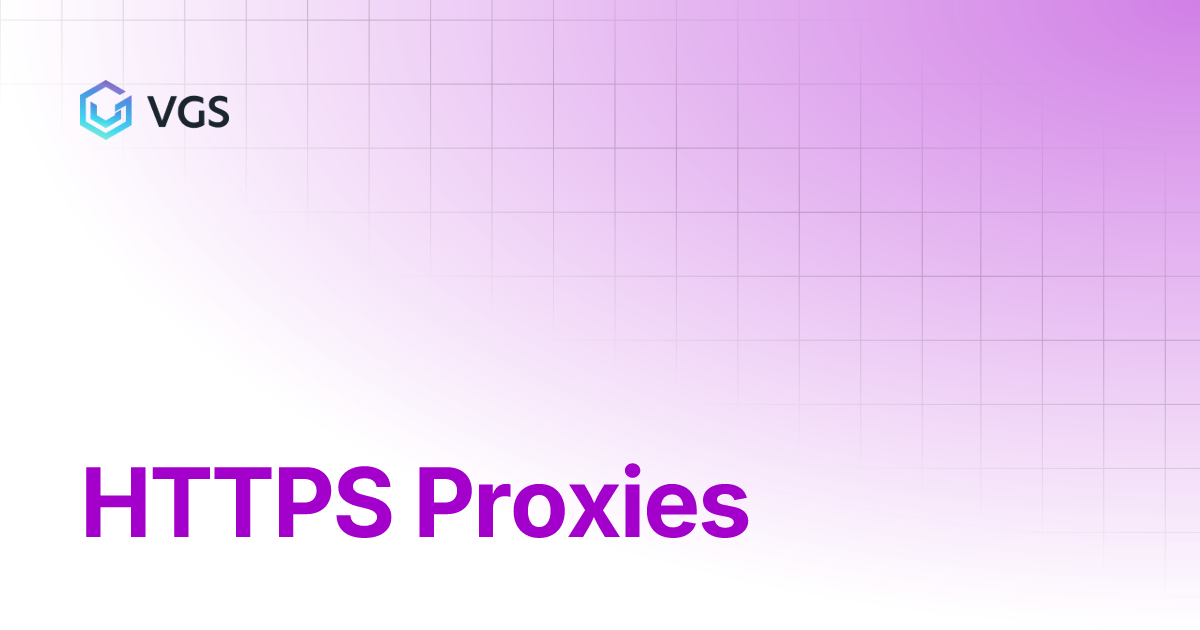 HTTPS Proxies | Secure Data Vault | VGS Docs